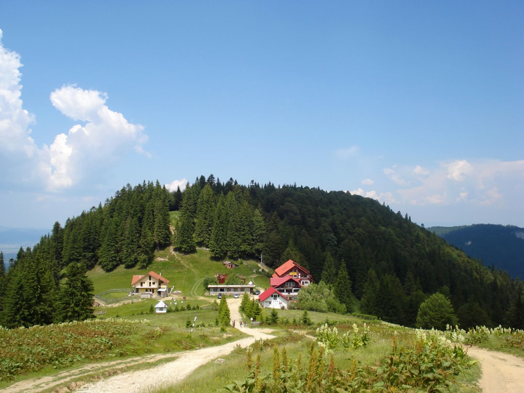 Traveltips for Traiskirchen Austria